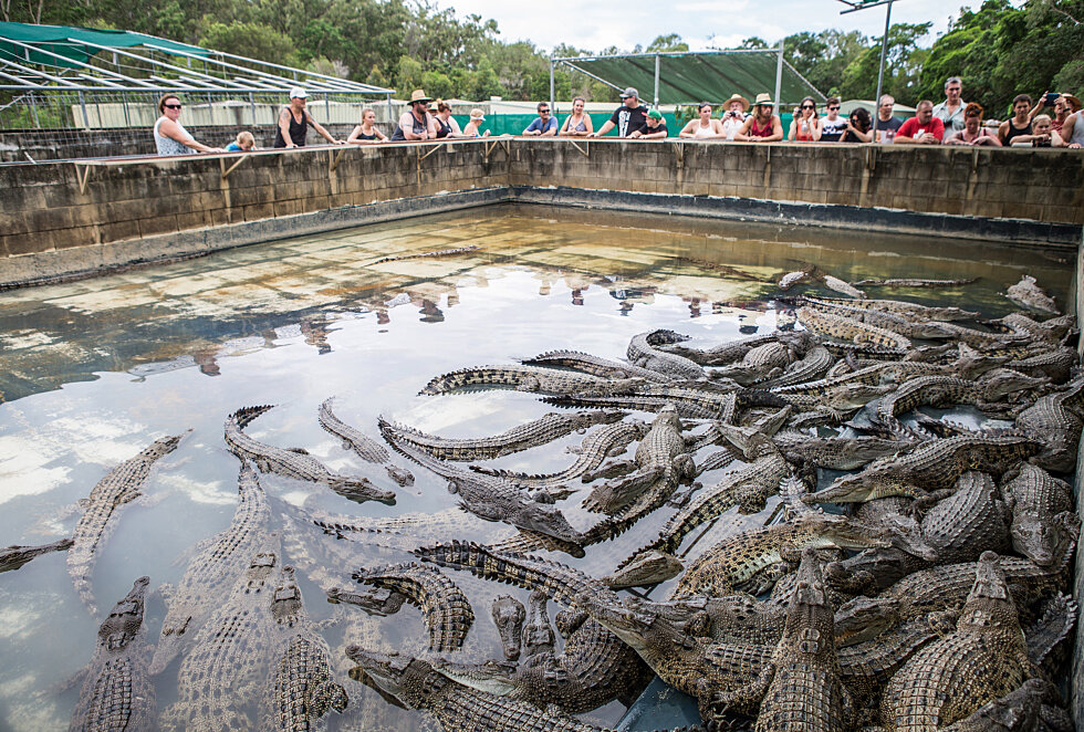 COVID 19 Wildlife Activities & Visitor Services